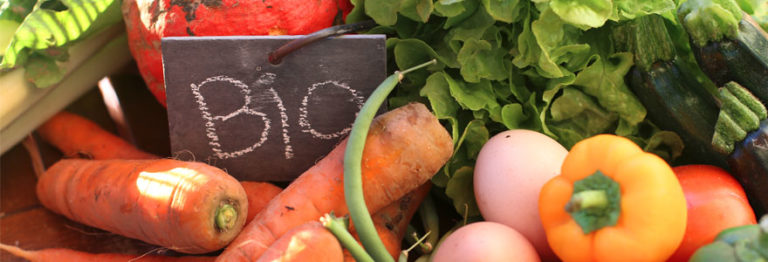 Conseils pour bien débuter dans la cuisine bio